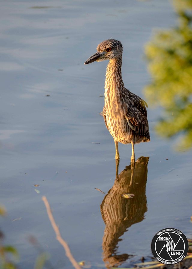 You Are Young. So Shut Up, And Enjoy Life. – Through Open Lens