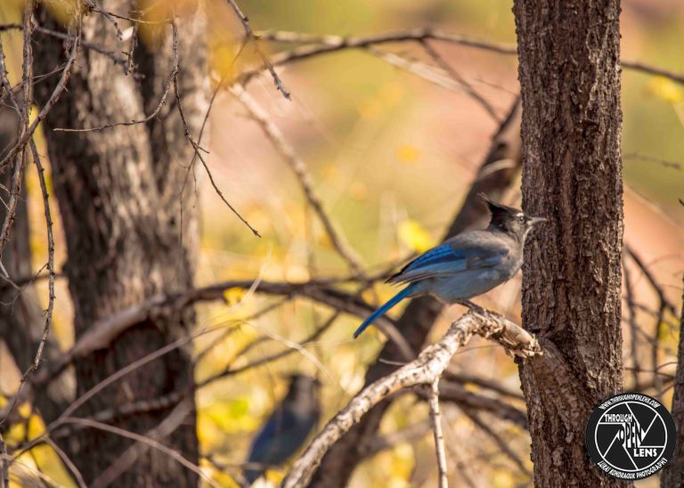 Page 2 – Through Open Lens