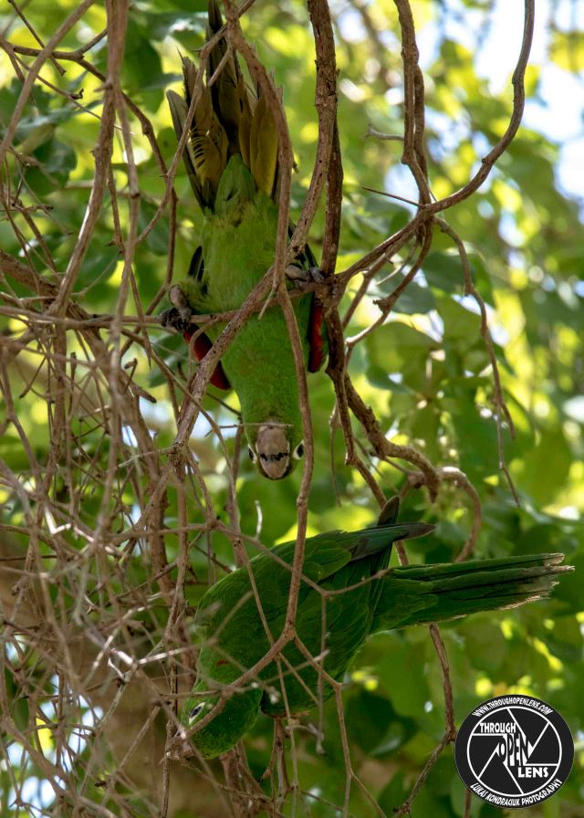 Do What Makes You Happy! – Through Open Lens