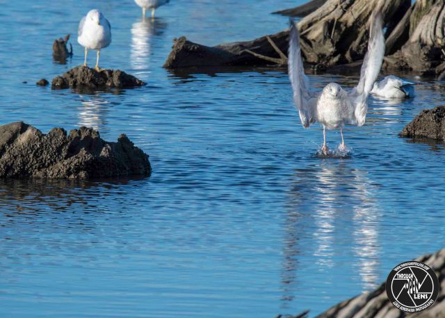 Touchdown! – Through Open Lens