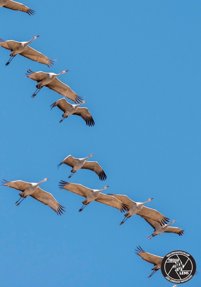 Let’s Get Into Formation! – Through Open Lens